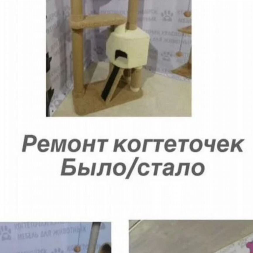 Ремонт когтеточек в Красноярске