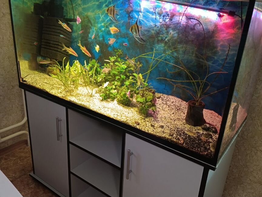 Аквариум с тумбой 340 литров