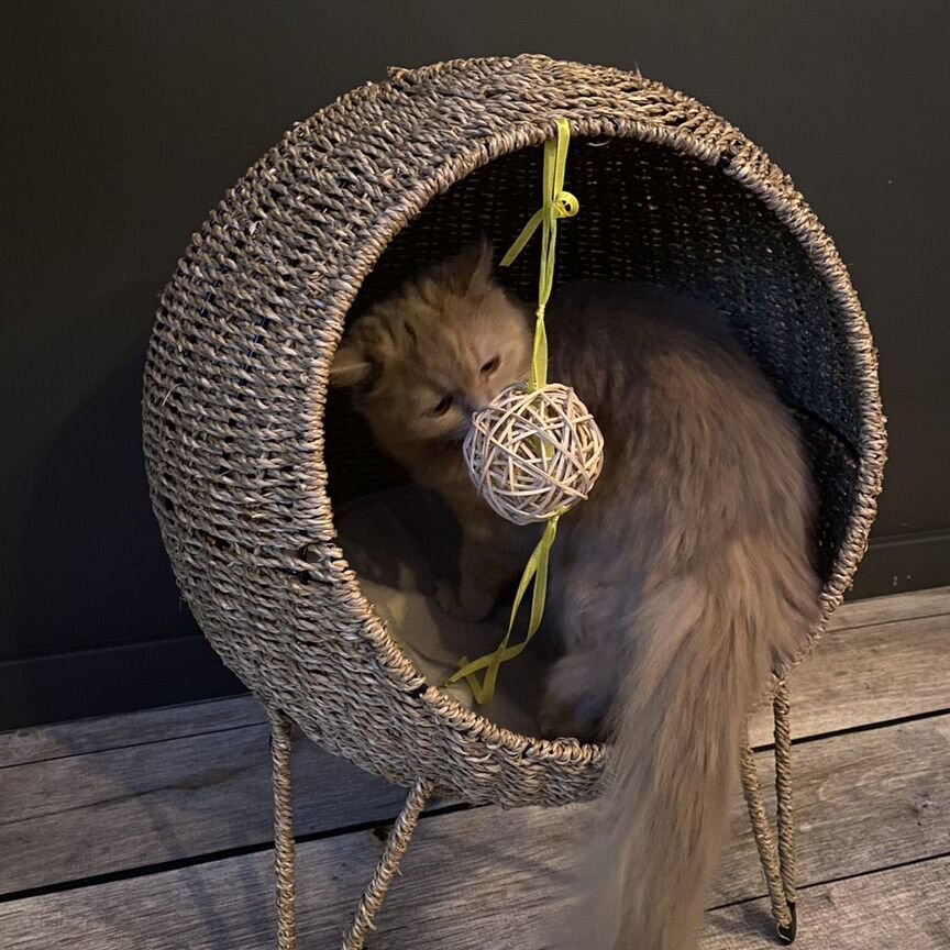 Домик для кошки из ротанга