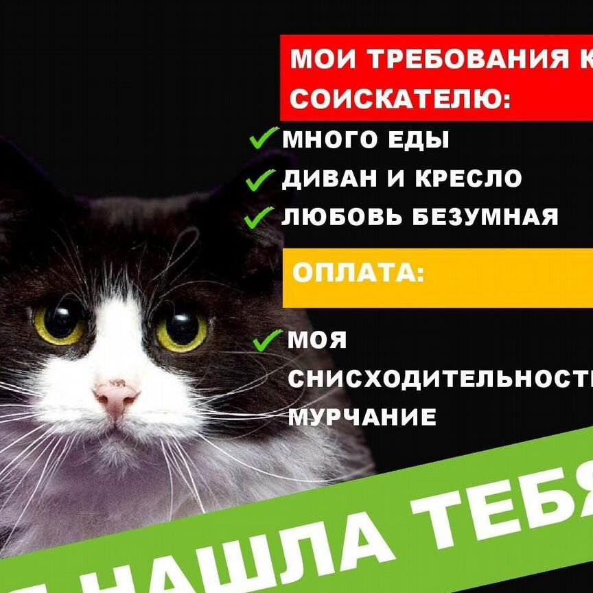 Возраст не порок