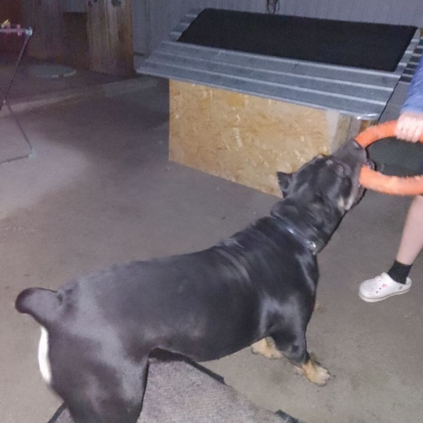 Девочка кони корс ищет мальчика