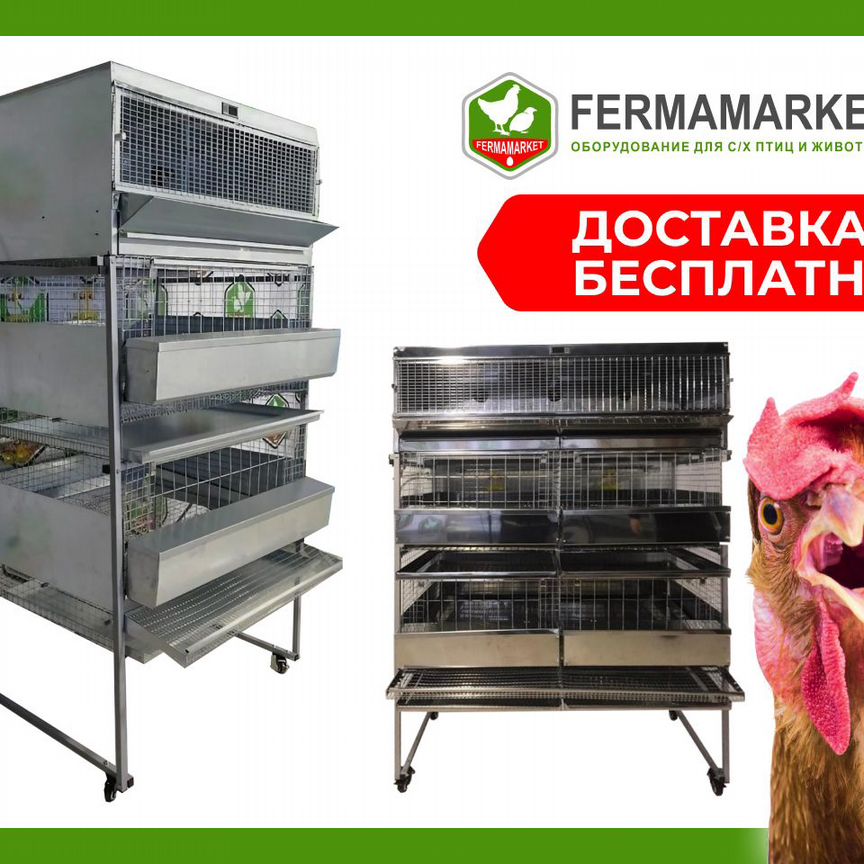 Клетки бройлеров, кур-несушек Верхнерусское