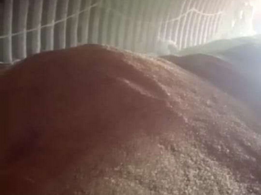 Овёс, пшеница оптом и а розницу