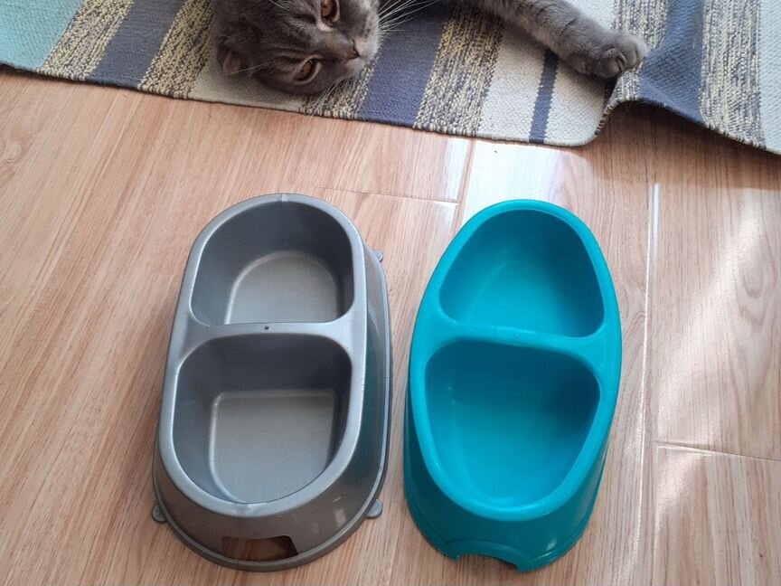 Кошачьи миски