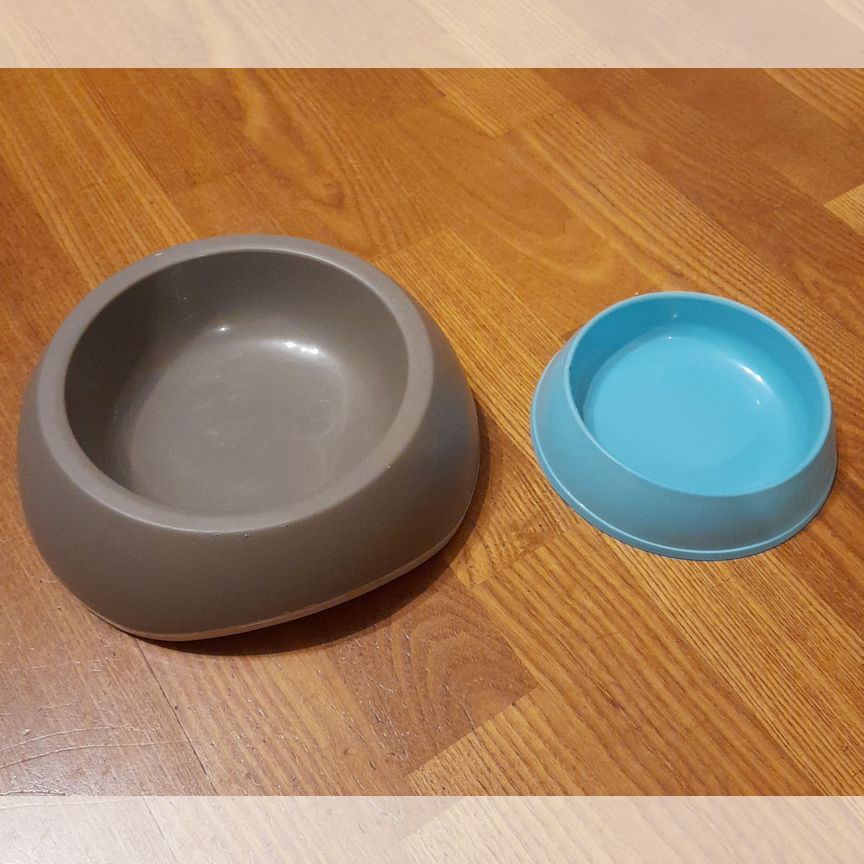 Миска для животных