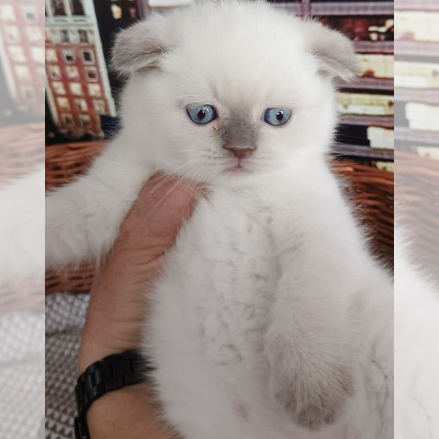 Качество выше цены мальчик