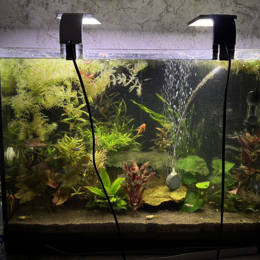 Аквариум tetra 80 литров с оборудованием