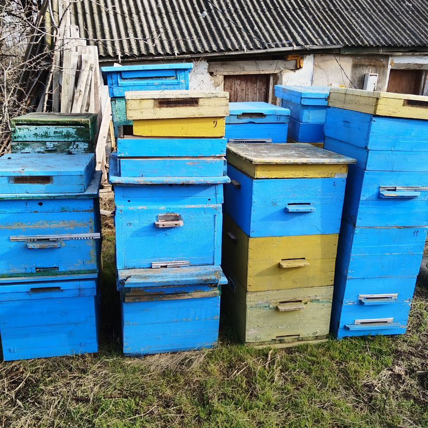 Ульи для пчел
