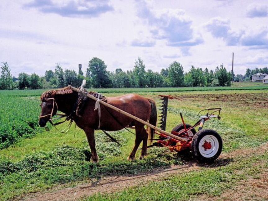 Продаются две косилки конные