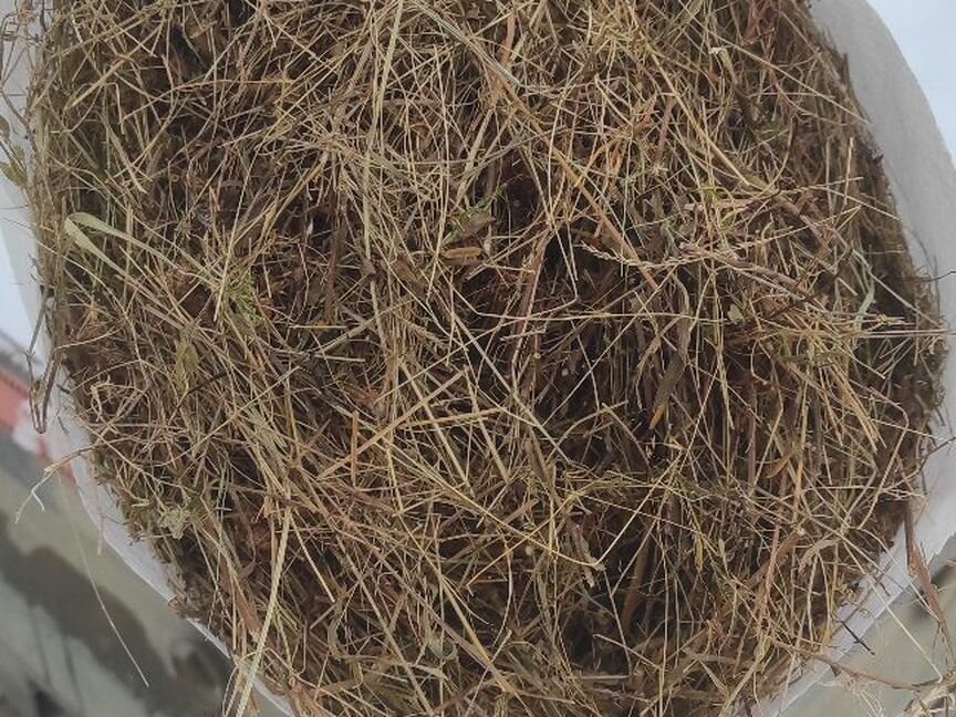 Сено в мешках