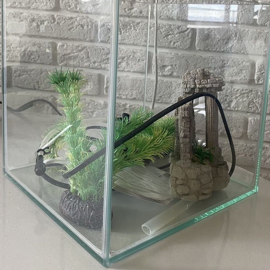 Аквариум