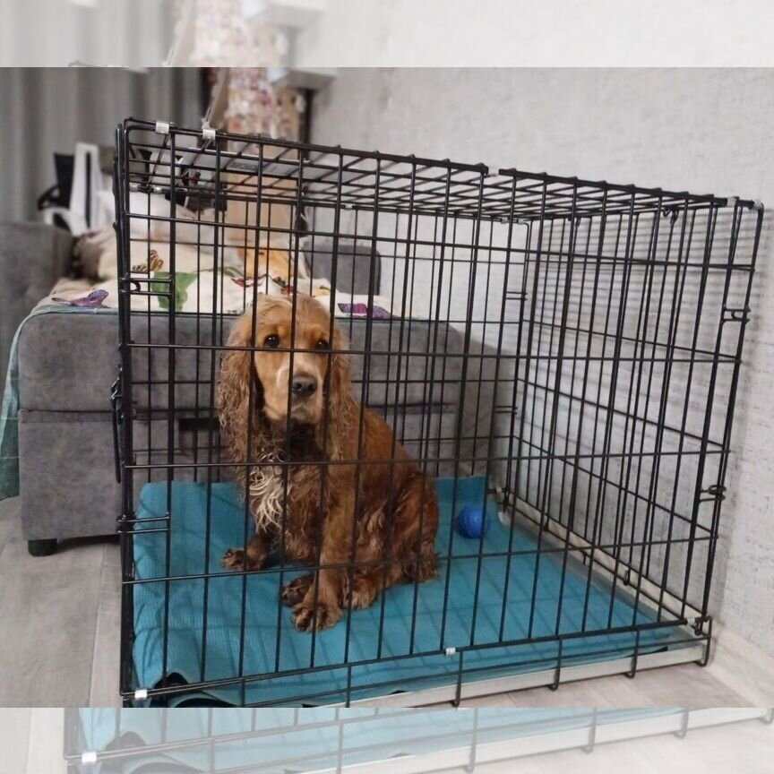 Клетка для маленьких собак