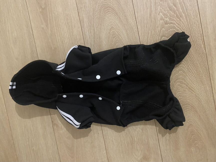 Осенний костюм для собак