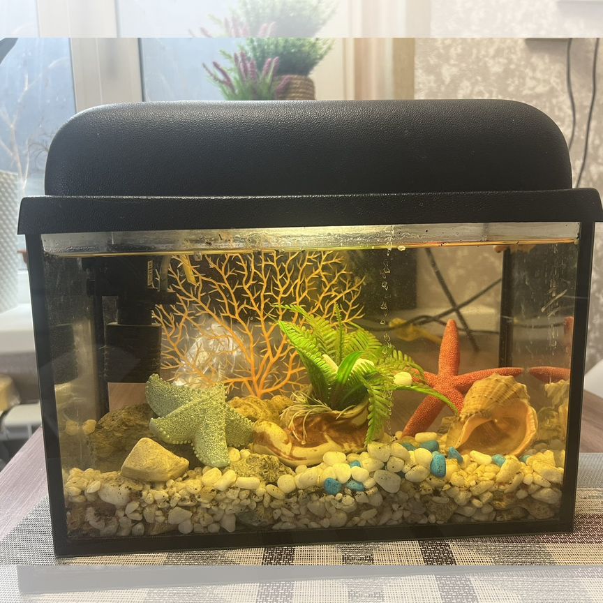 Аквариум и аксессуары