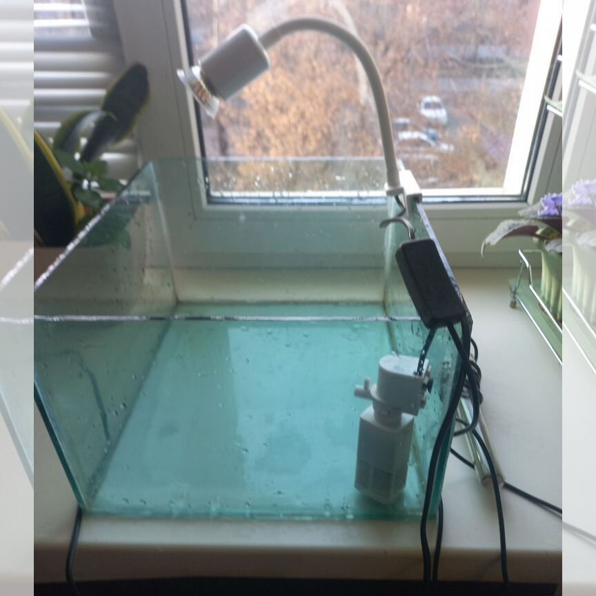 Аквариум для черепах