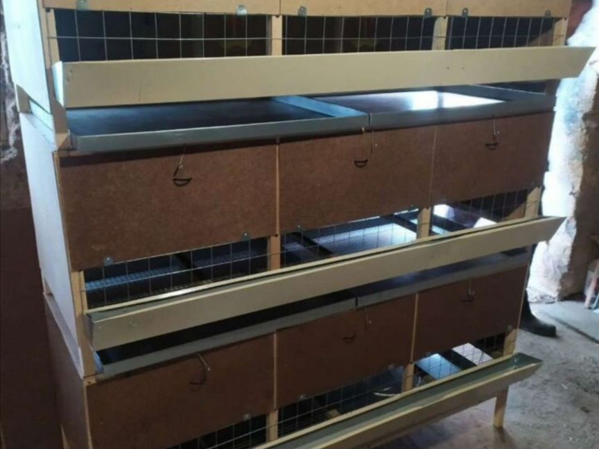 Брудер для бройлеров