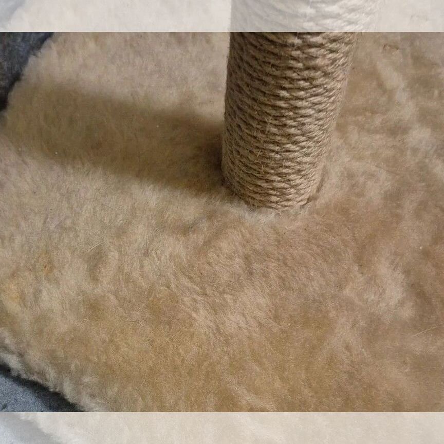 Когтеточка