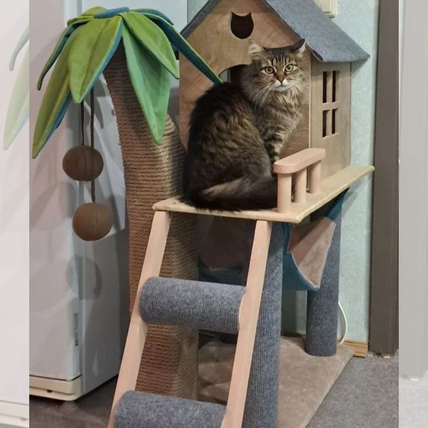 Домик когтеточка для кошек под заказ