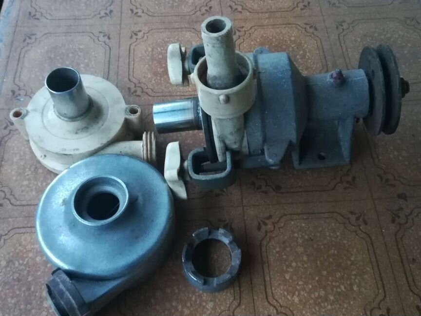 Животноводство
