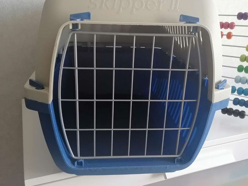 Переноска для кошек и собак в аренду