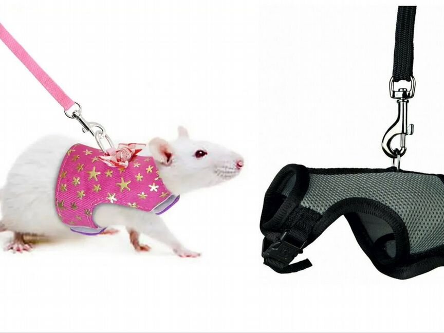Шлейка для грызунов (крысы/хорька/свинки и тп.)