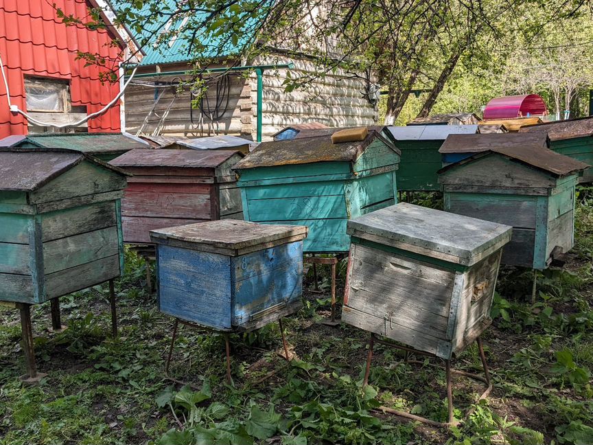 Улей для пчел бу