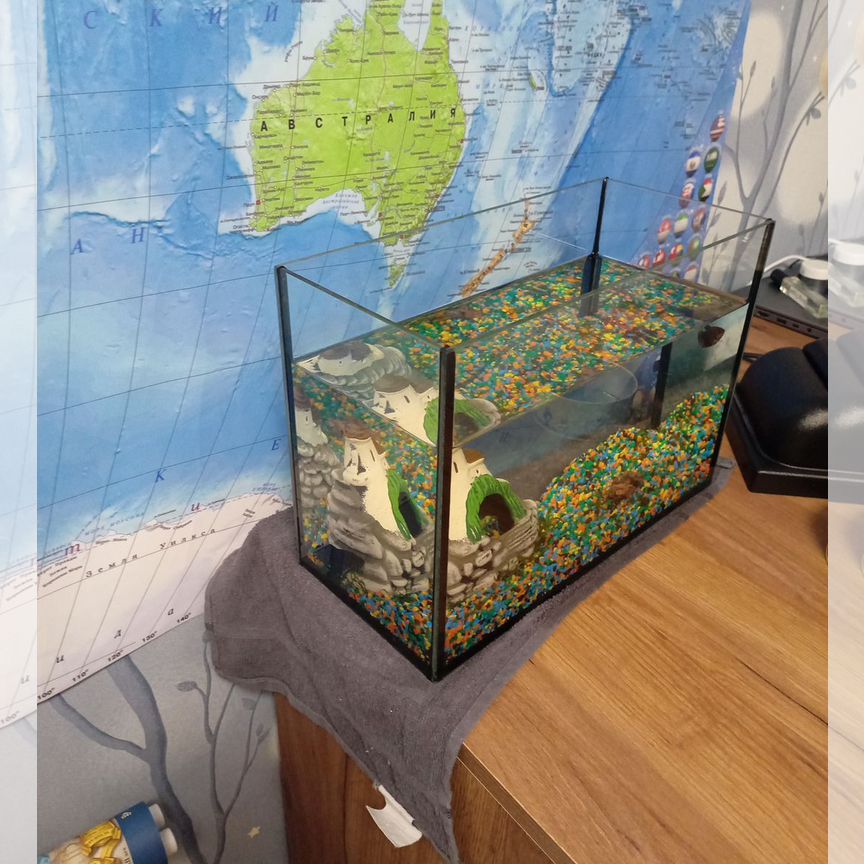 Аквариум с рыбками
