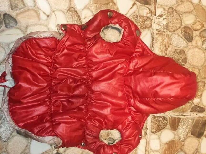 Куртка для чихуахуа мини до 2 кг