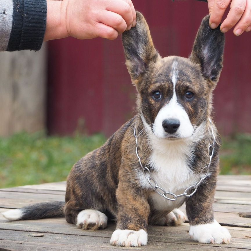 Интересный парнишка