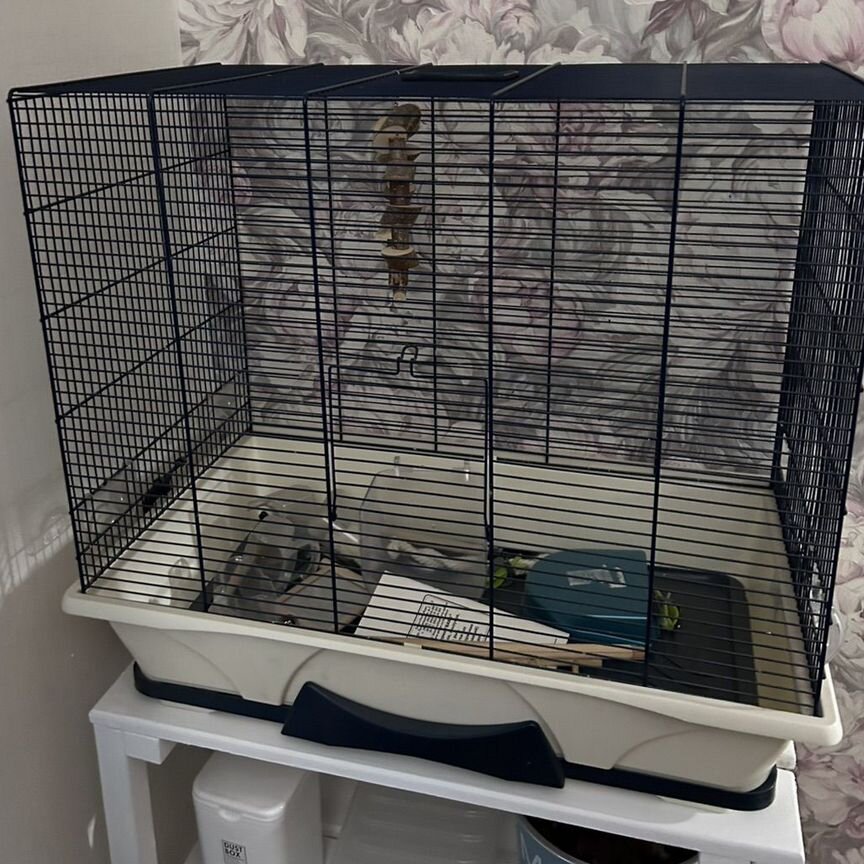 Клетка для птиц бу savic и переноска