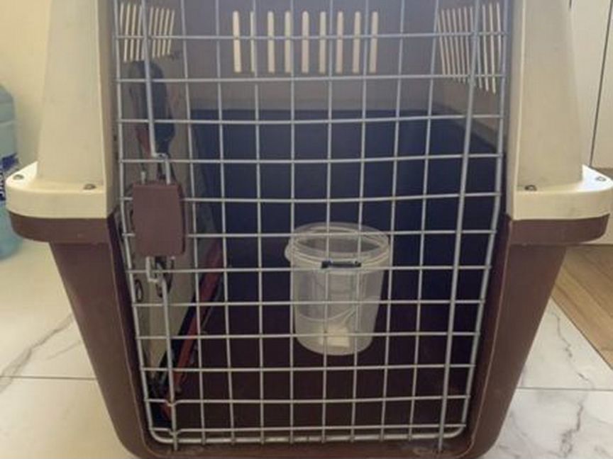 Переноска для собак