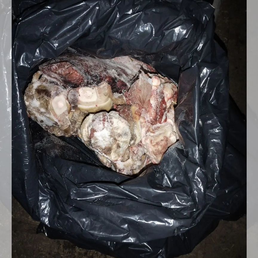 Еда для собак