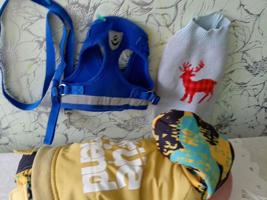 Или по отдености