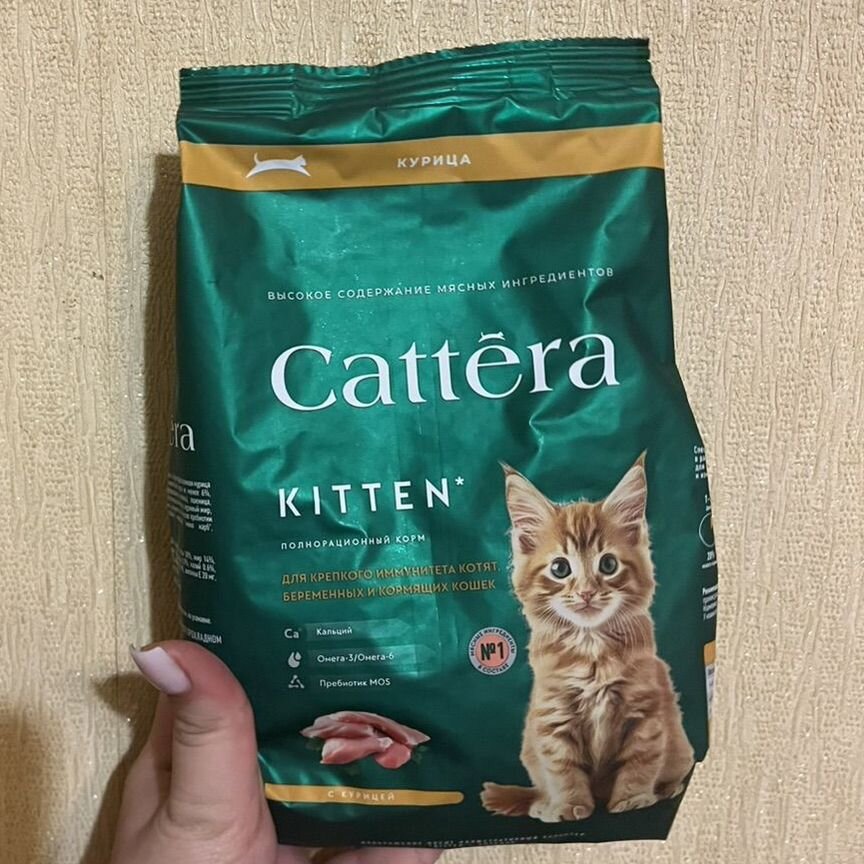 Корм для котят Cattera
