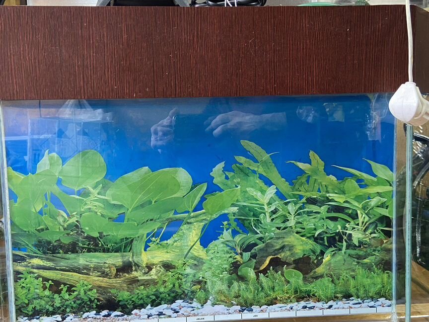 Аквариум 40 литров