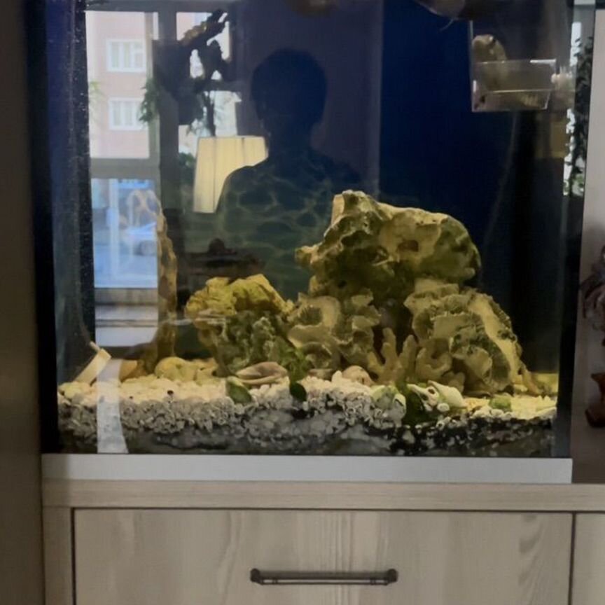 Аквариум с рыбками 168 литров