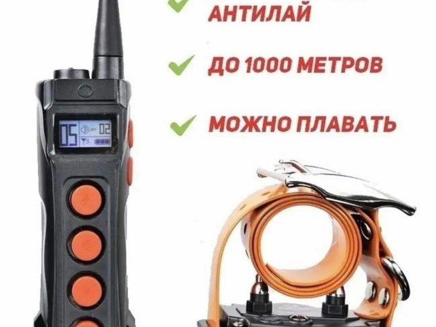 Ошейник для дресировки собак