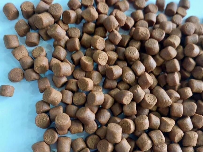 Корм для рыб опт розница