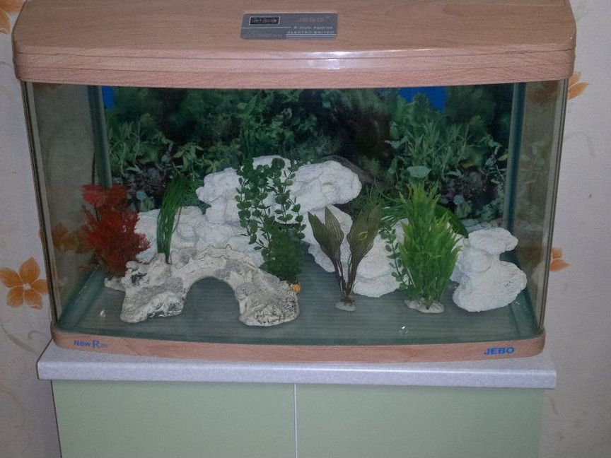 Аквариум