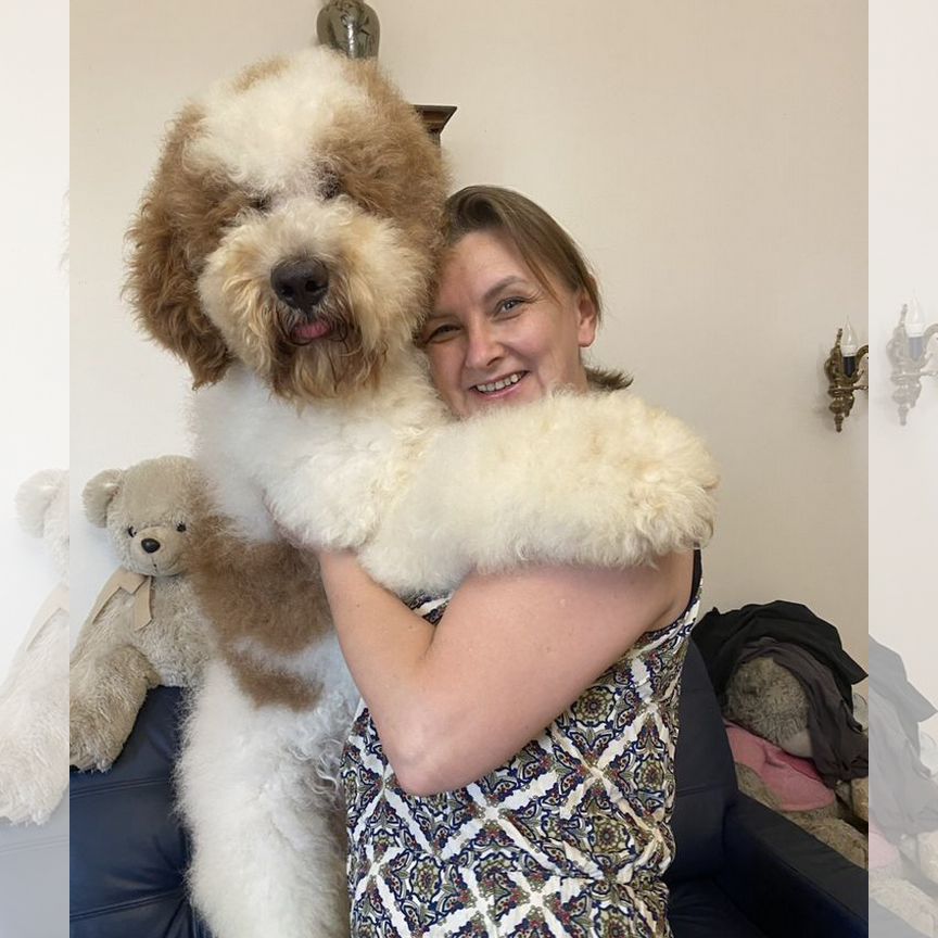 Китайский Императорский пудель