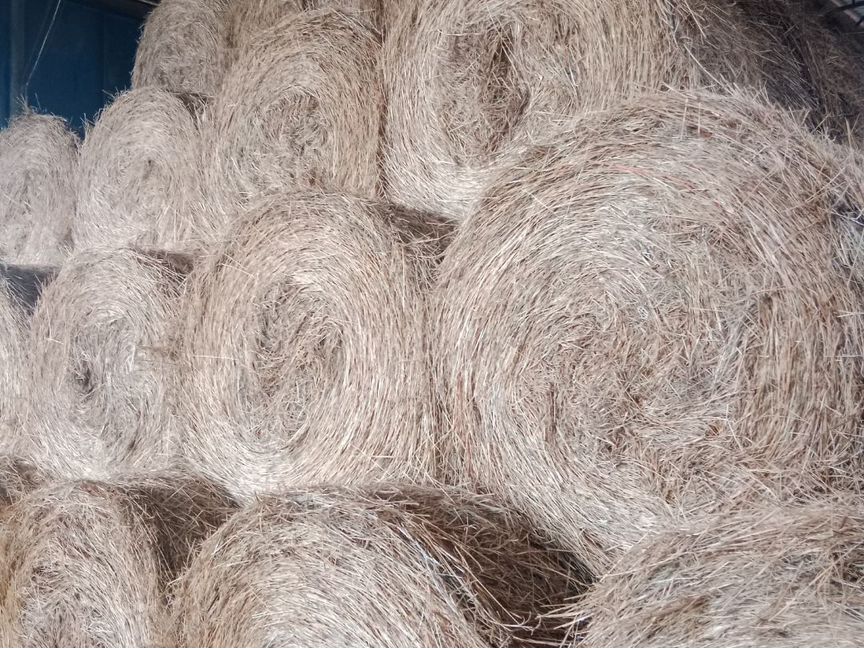 Сено многолетних трав