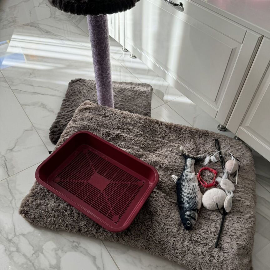 Когтеточка + лежанка + лоток и игрушки