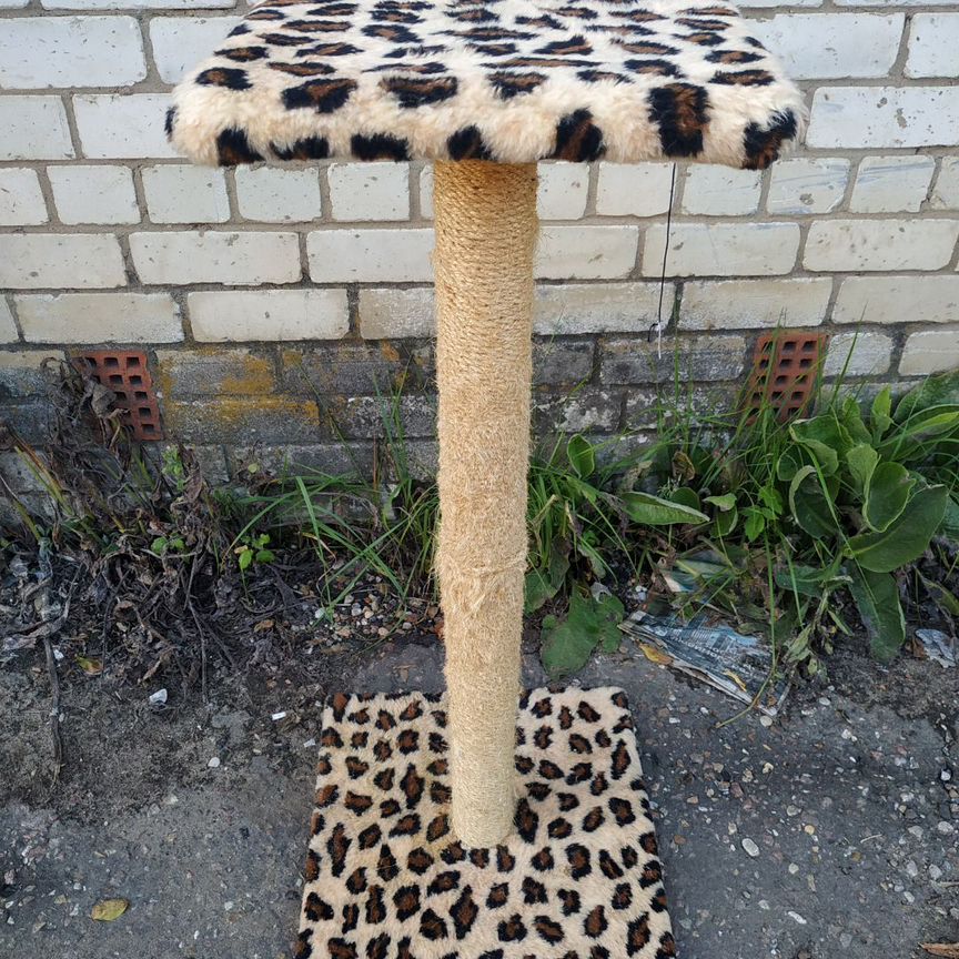 Продается когтеточка