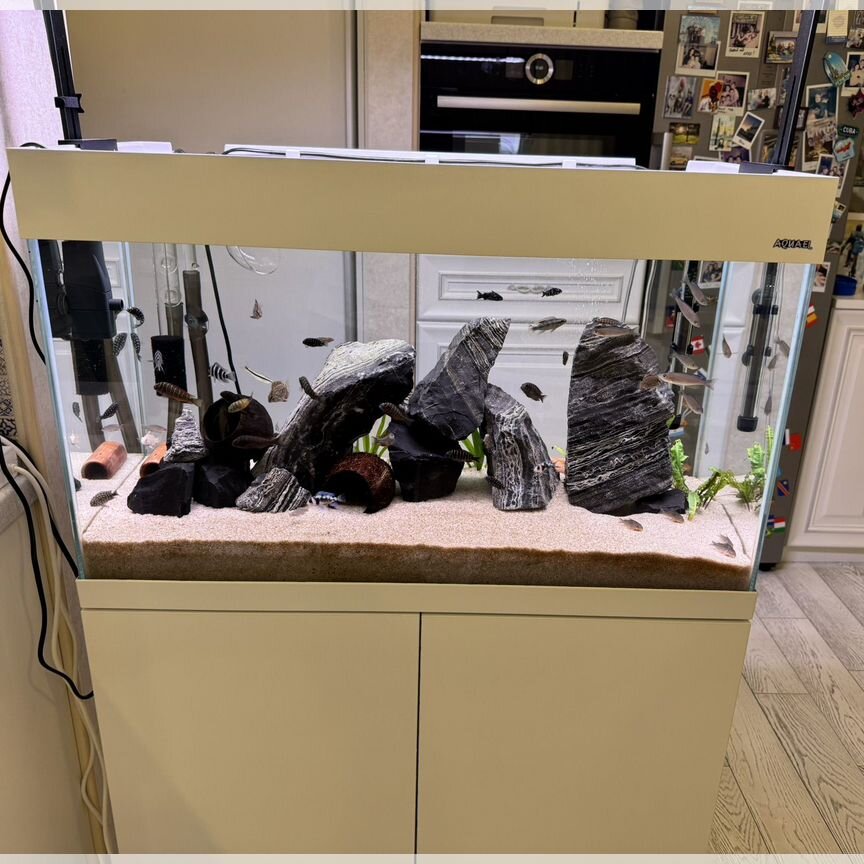 Аквариум с тумбой aquael opti SET 125л