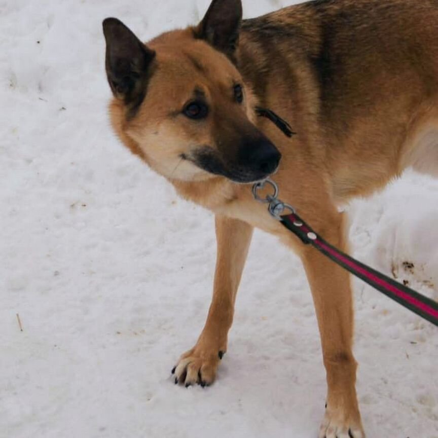 Я обычный, но тоже живой