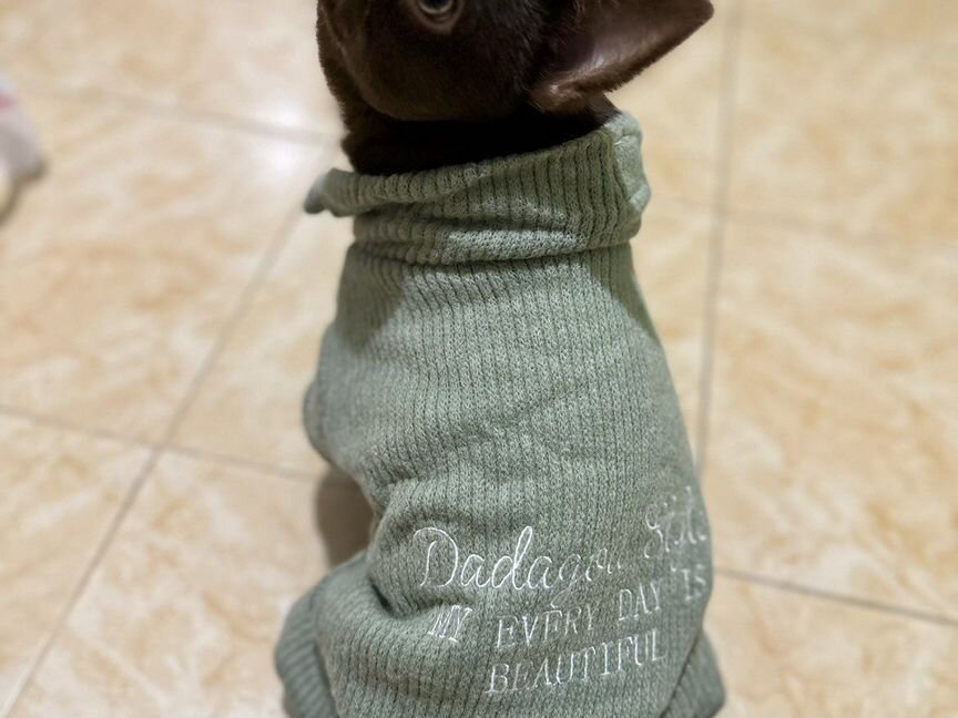 Комбинезон для собаки 30 см