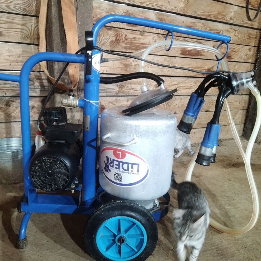 Доильный аппарат лидер турция