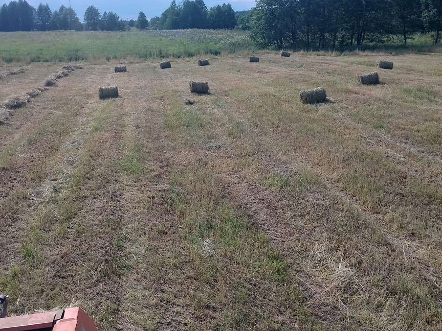 Продам сено в рулонах