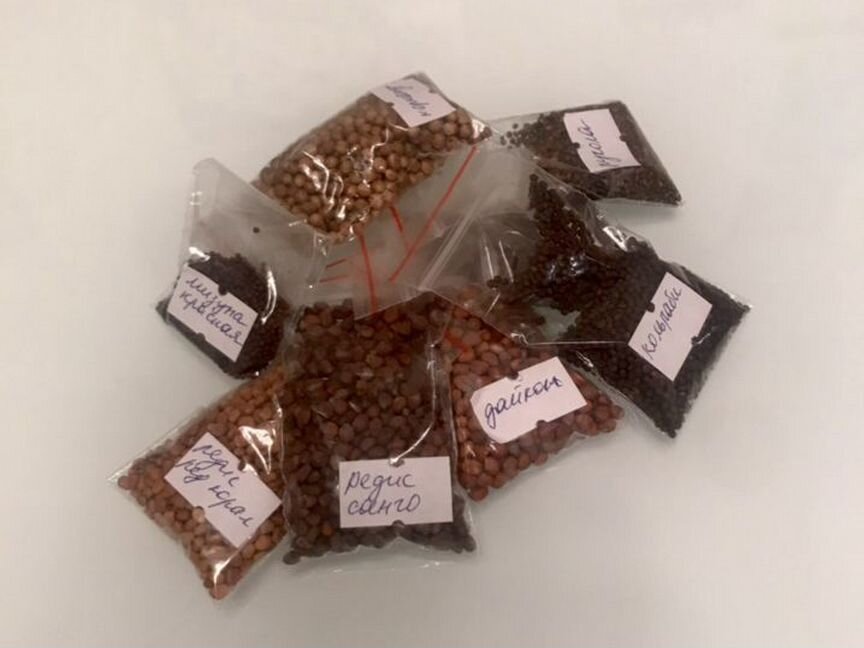 Микрозелень семена