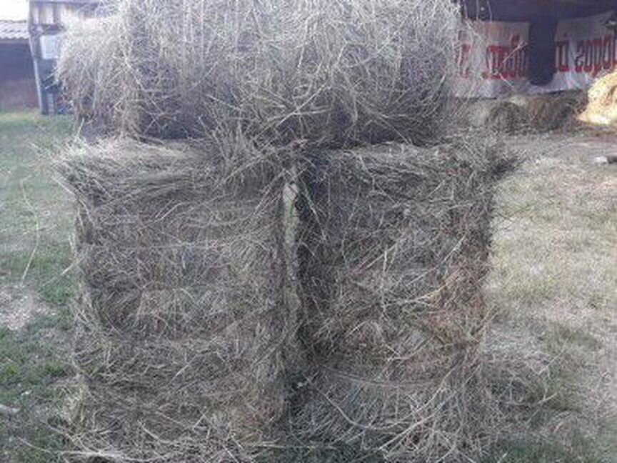 Сено в мини рулонах